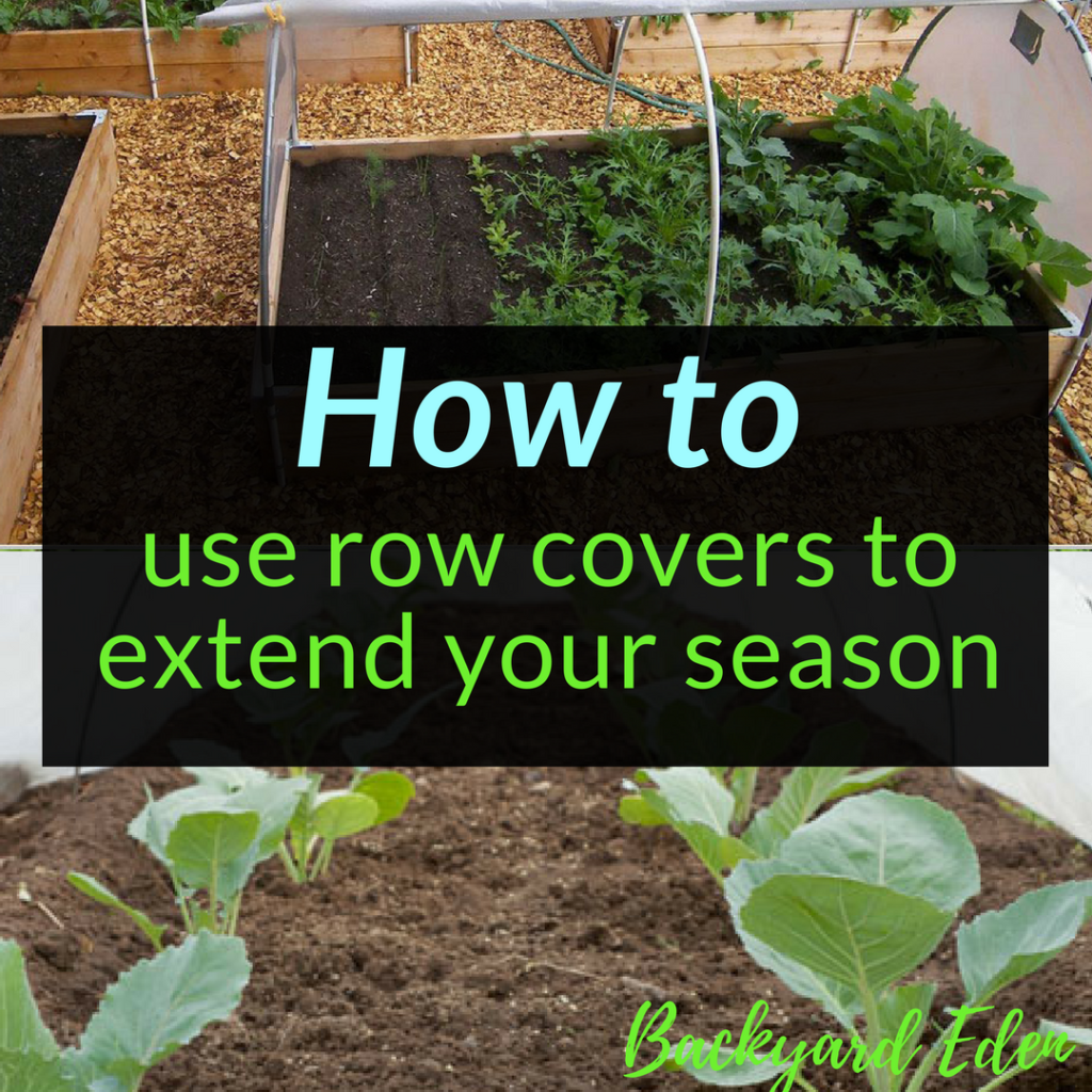 How to Start Square Foot Gardening - Backyard Eden