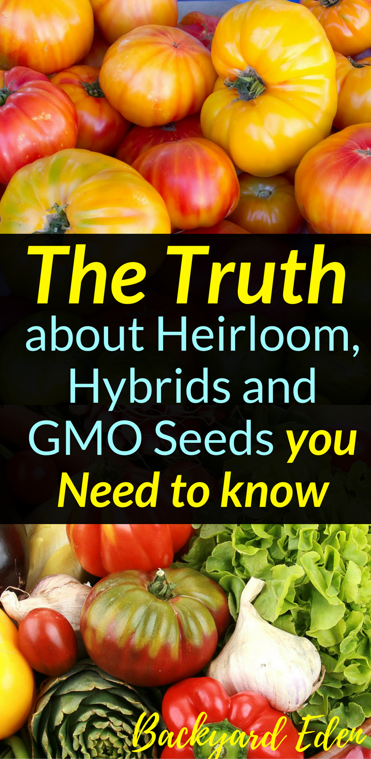 Seed Truth: The Truth about Heirloom, Hybrid and GMO Seeds you need to ...